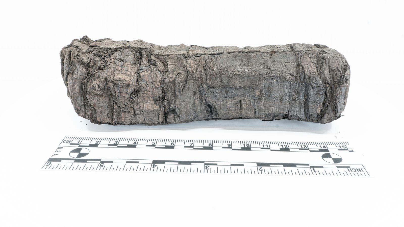 Ancient scrolls near Pompeii were preserved but unreadable - are they ...