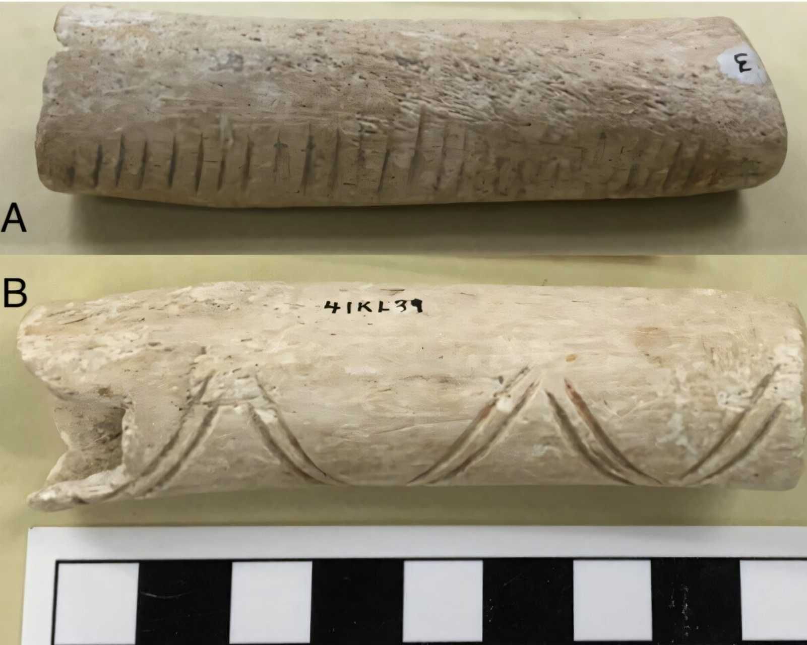 Modified Human Bones Reveal Cultural Practices in Prehistoric America ...