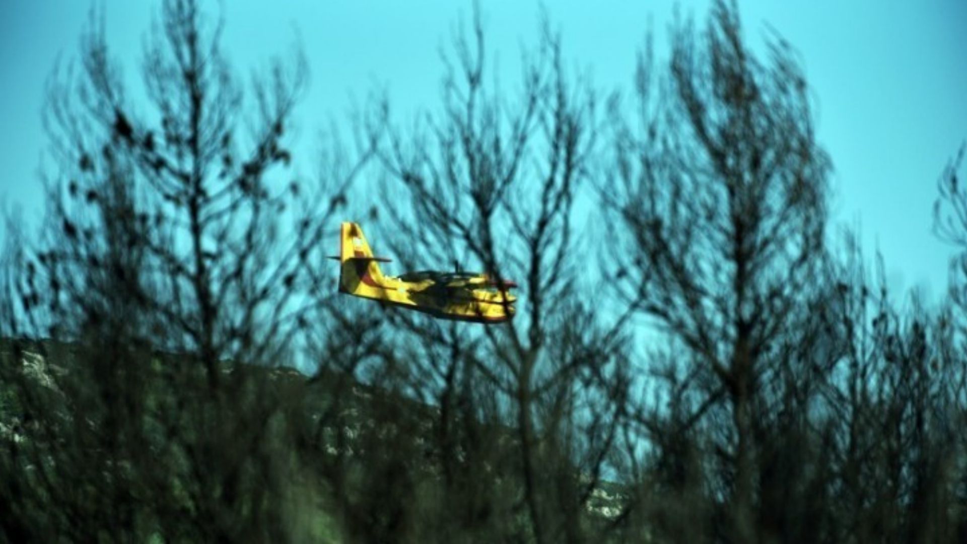 Rhodes and Corfu rekindlings the only major fires in Greece now, Fire ...