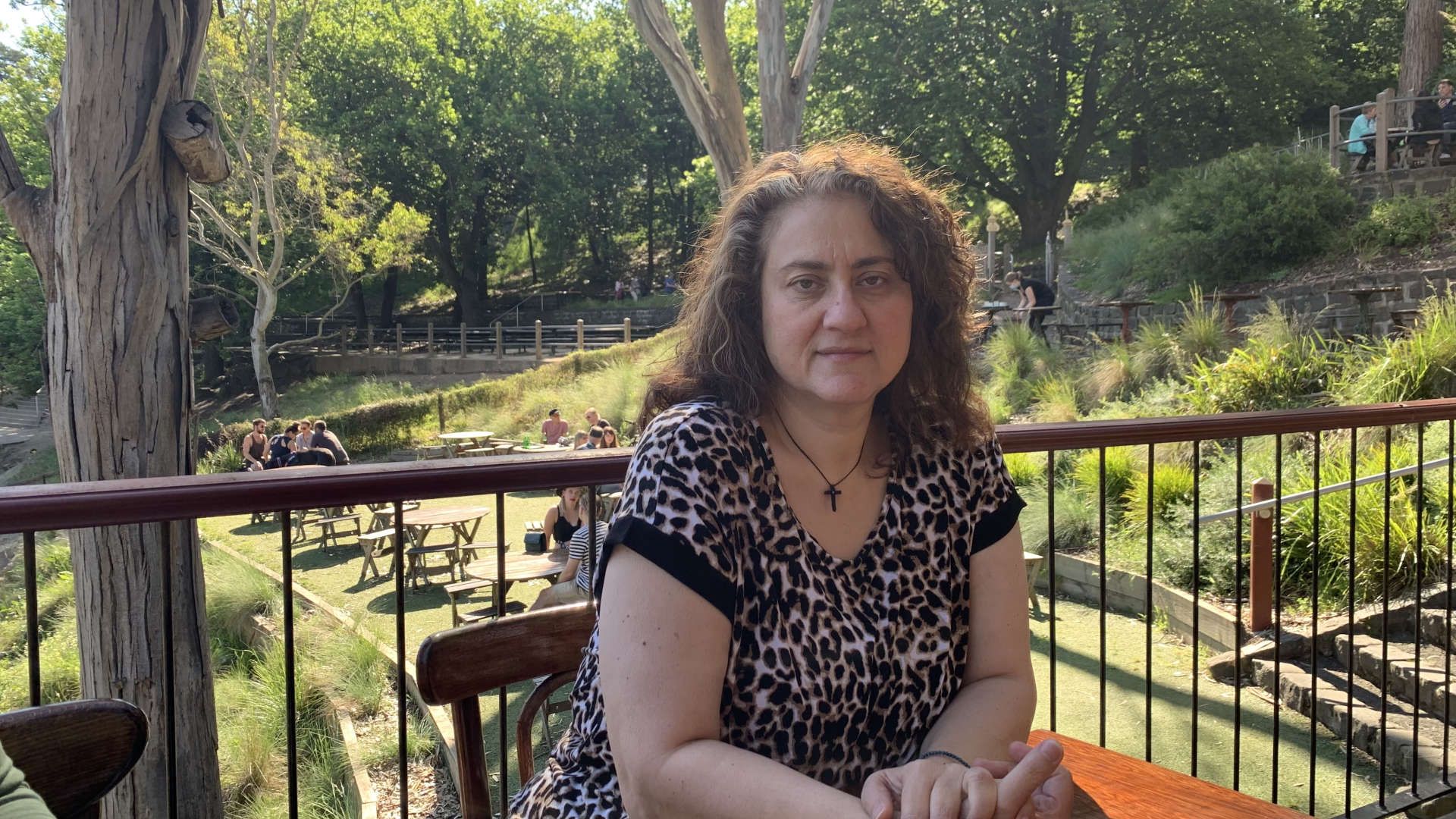 Vasso Apostolopoulos soars into top of world’s most cited scientists ...