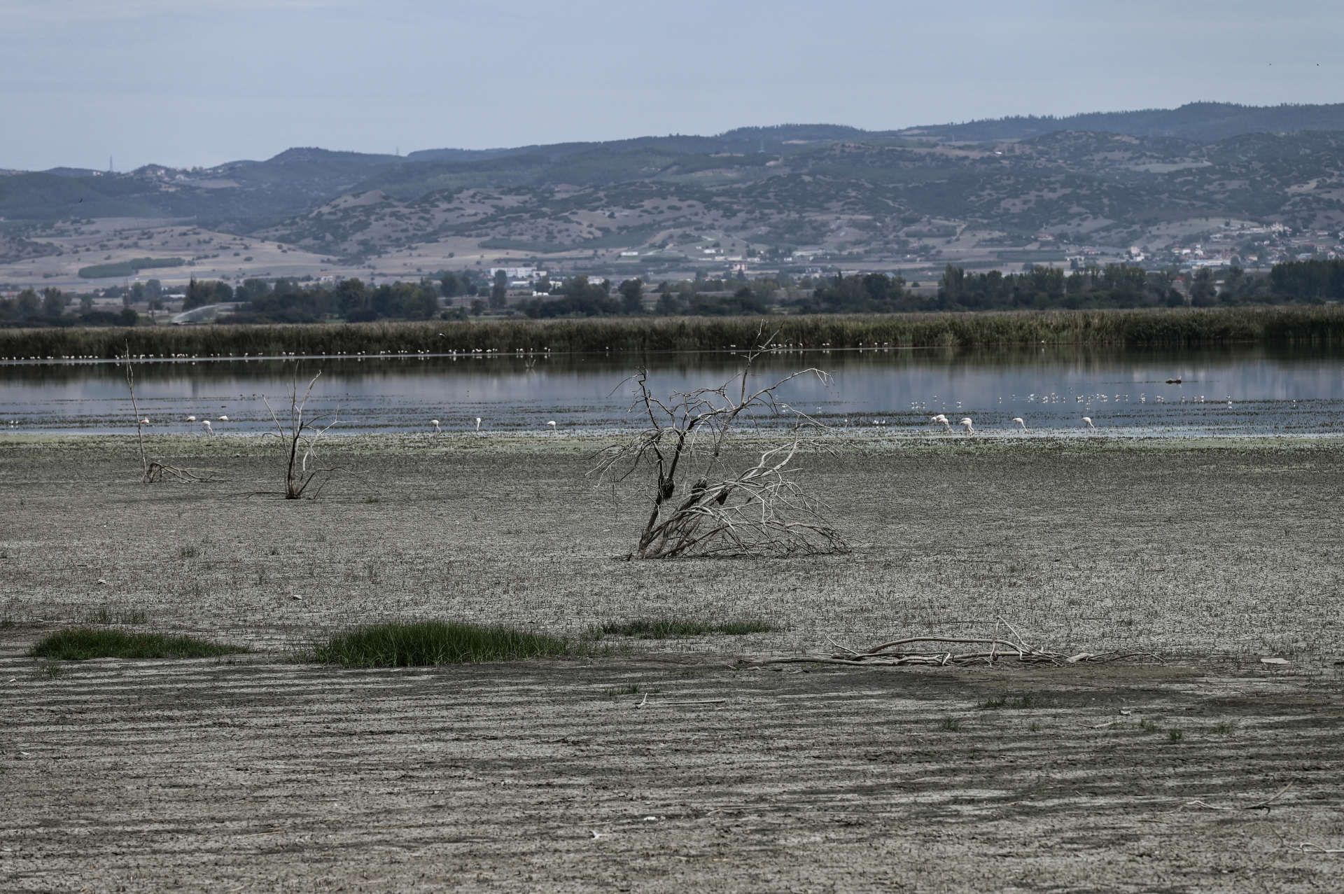 Lakes drying up leave Greeks in despair - International News | Greece