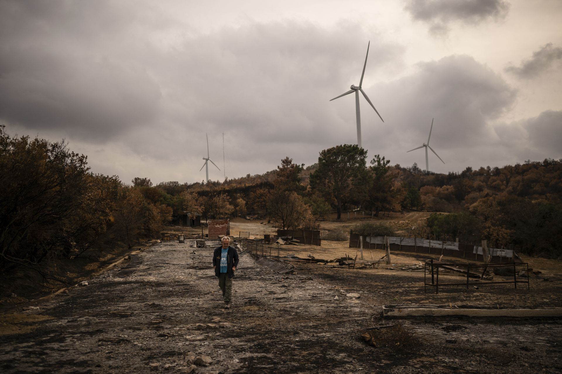 Desolation in Greece’s Dadia park after Europe’s biggest fire ...
