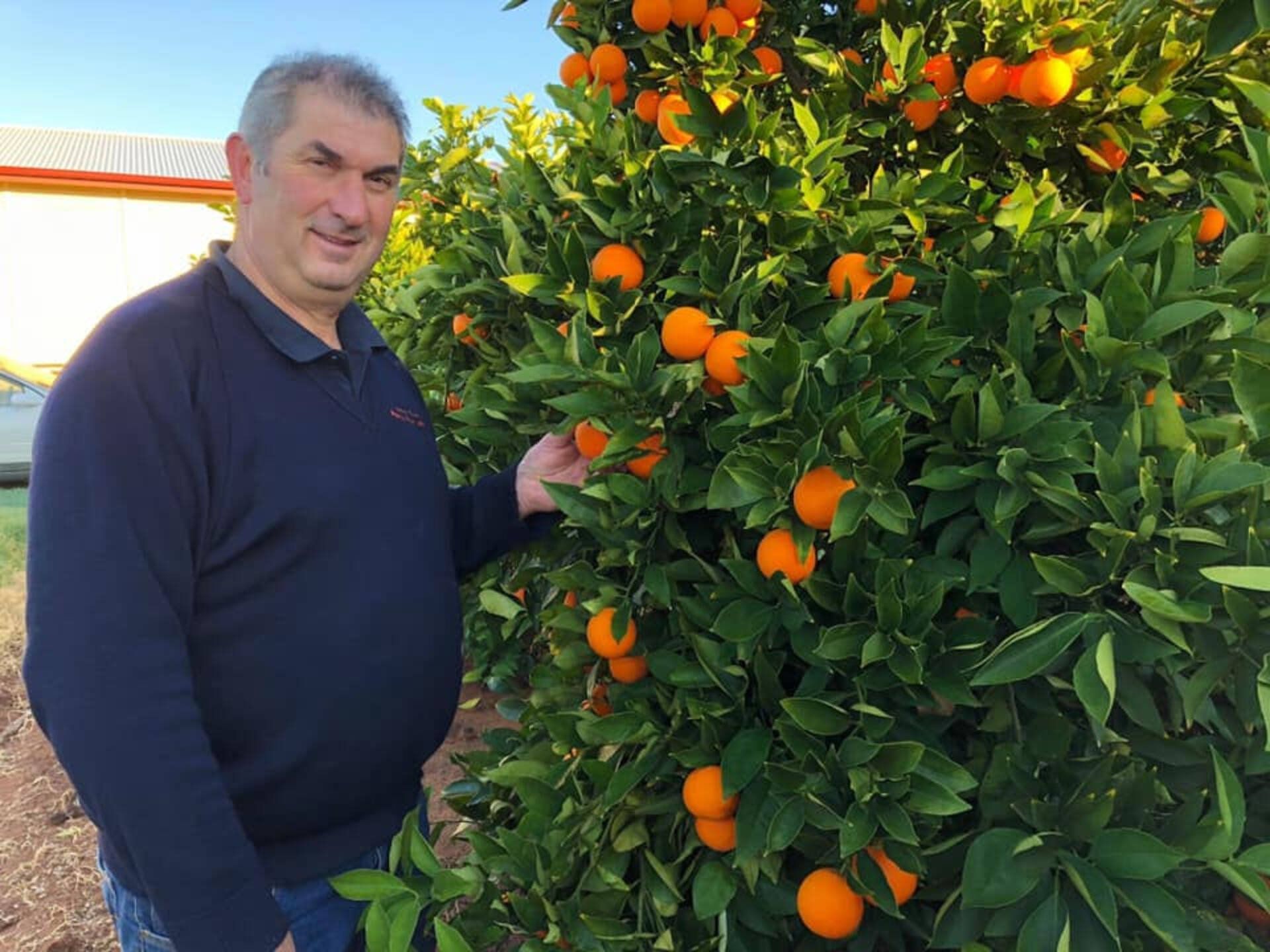 No juice left in the tank for ‘beloved’ Greek owned Poly’s Fruit Juice ...