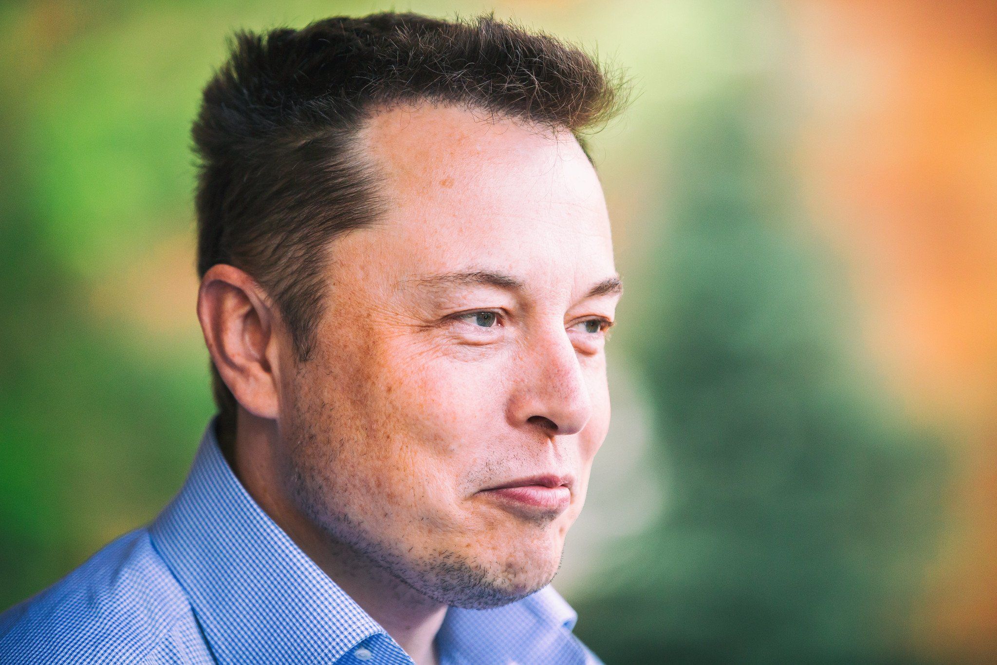 Elon Musk Mocks Microsoft Global Cyber Outage - International News | Greece