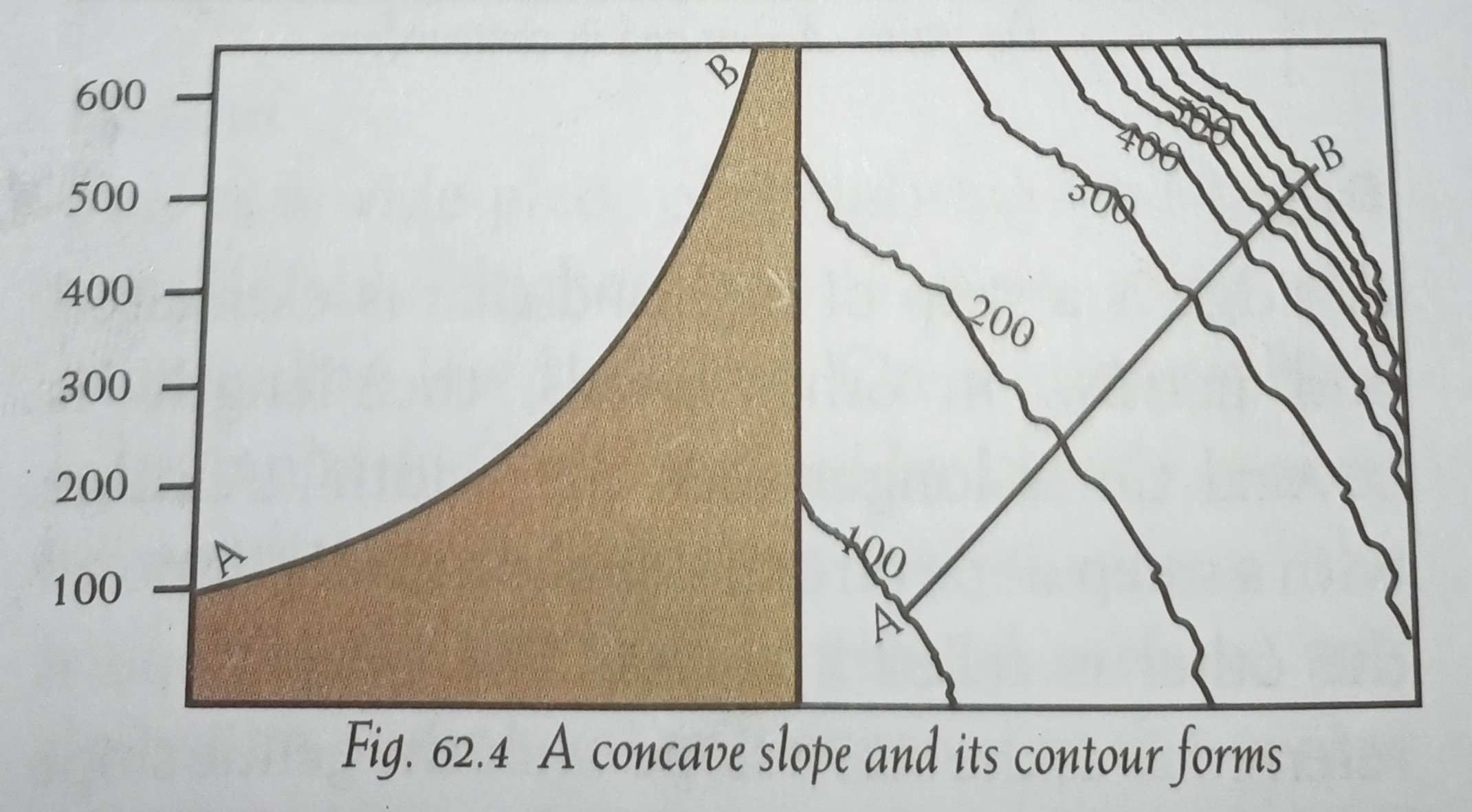 IDENTIFICATION OF RELIEF FEATURES USING THEIR CONTOUR FORMS | Austin Tommy