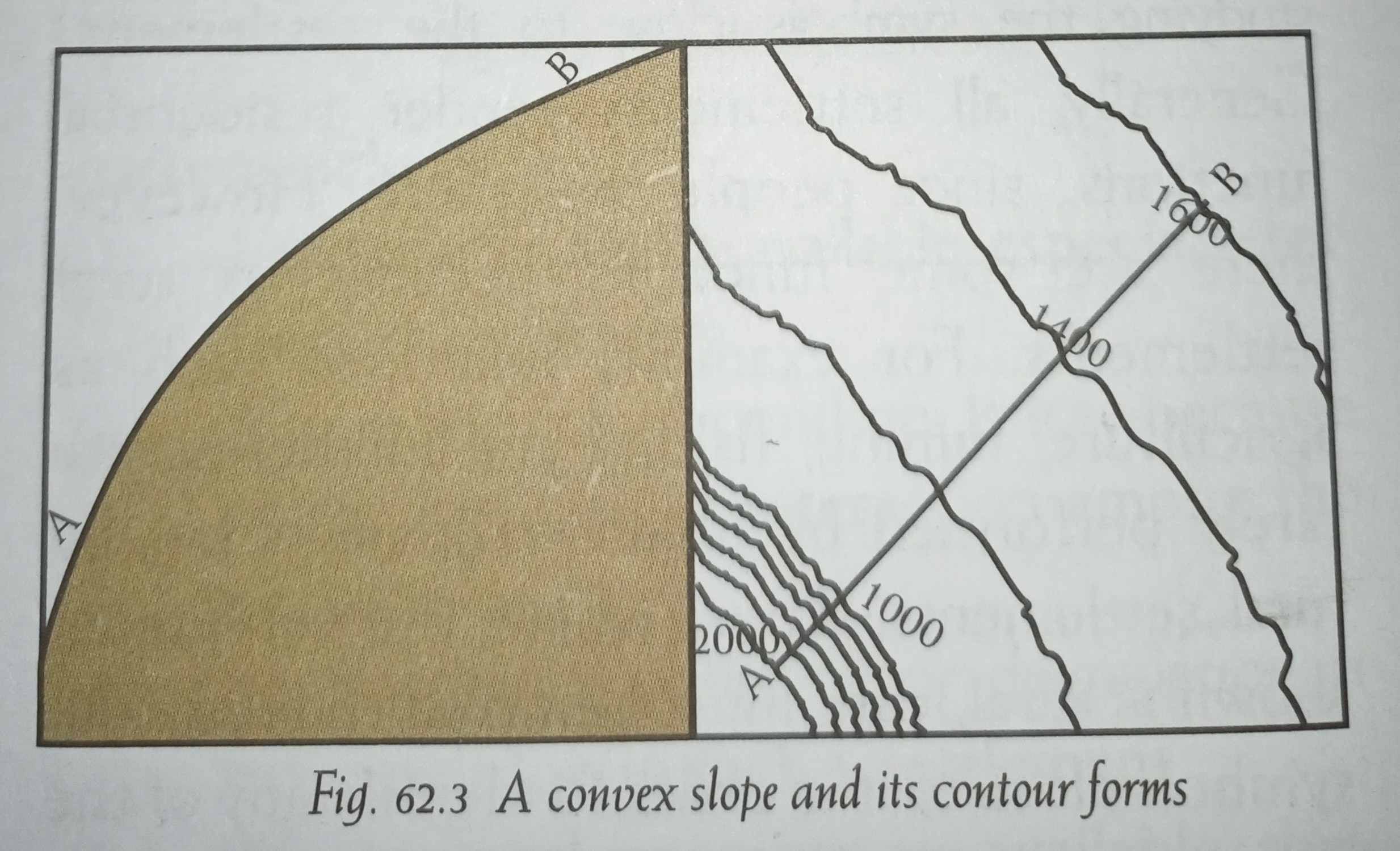 IDENTIFICATION OF RELIEF FEATURES USING THEIR CONTOUR FORMS | Austin Tommy