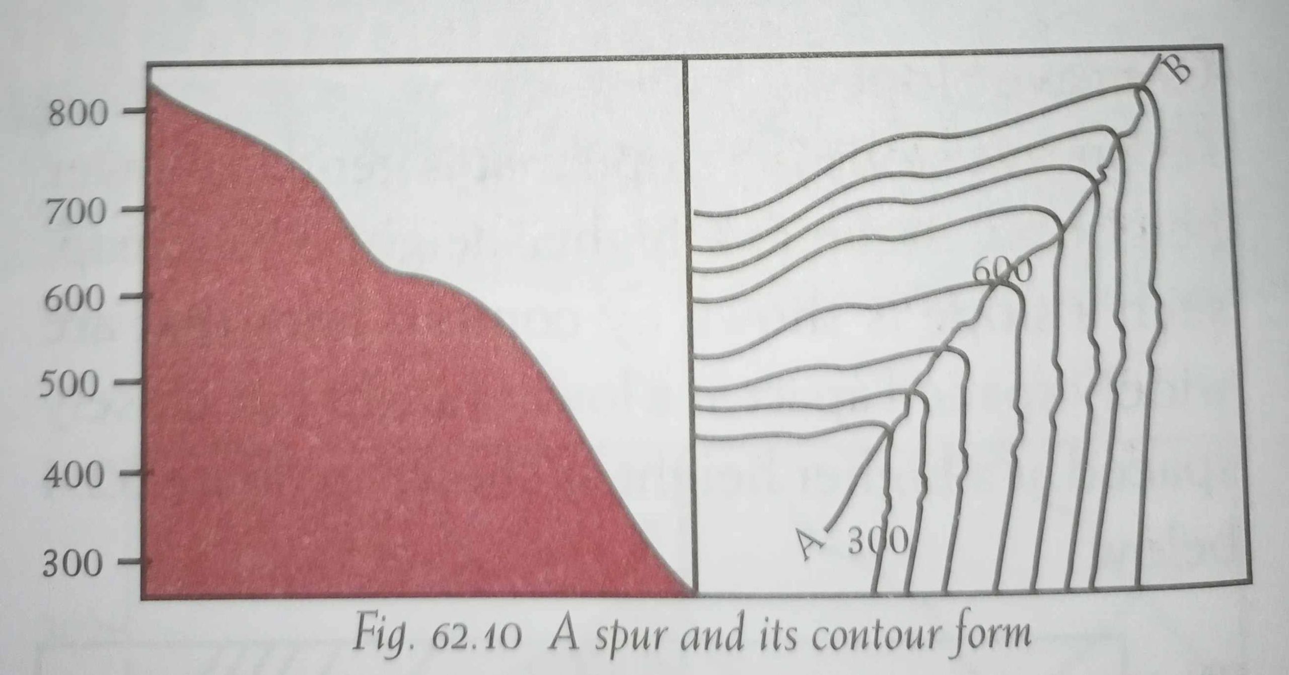 IDENTIFICATION OF RELIEF FEATURES USING THEIR CONTOUR FORMS | Austin Tommy