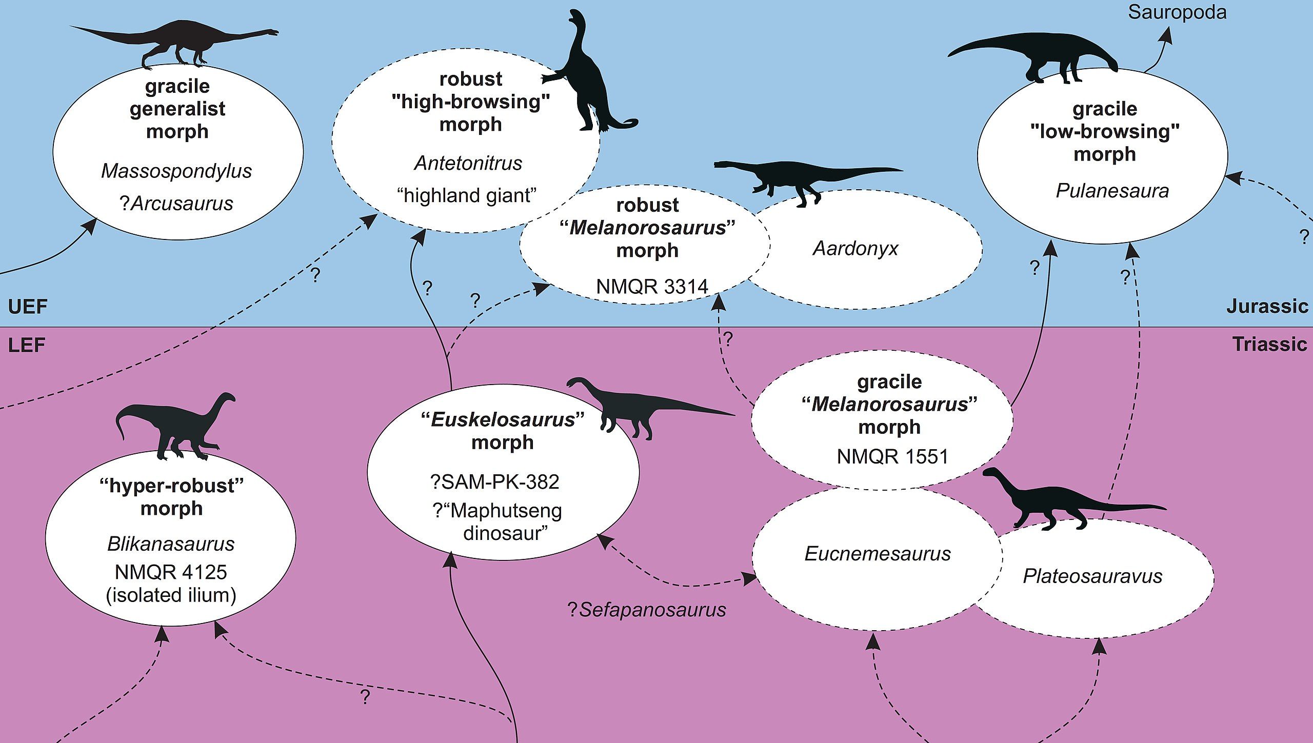 Aardonyx celestae - urzeittiere.net