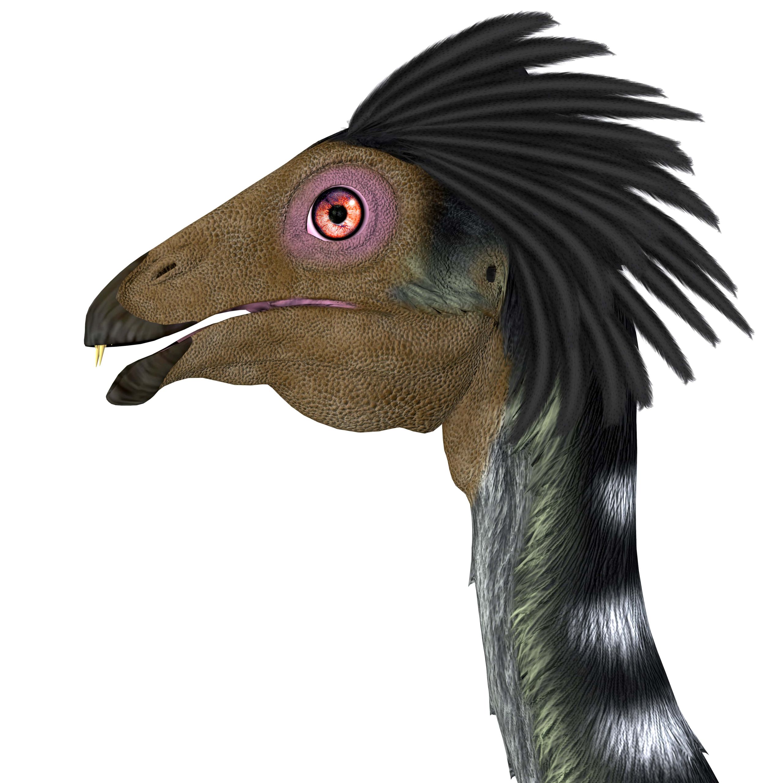 Caudipteryx - urzeittiere.net
