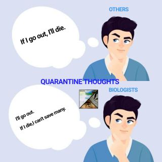 Meme Competition - Result - Researchersjob