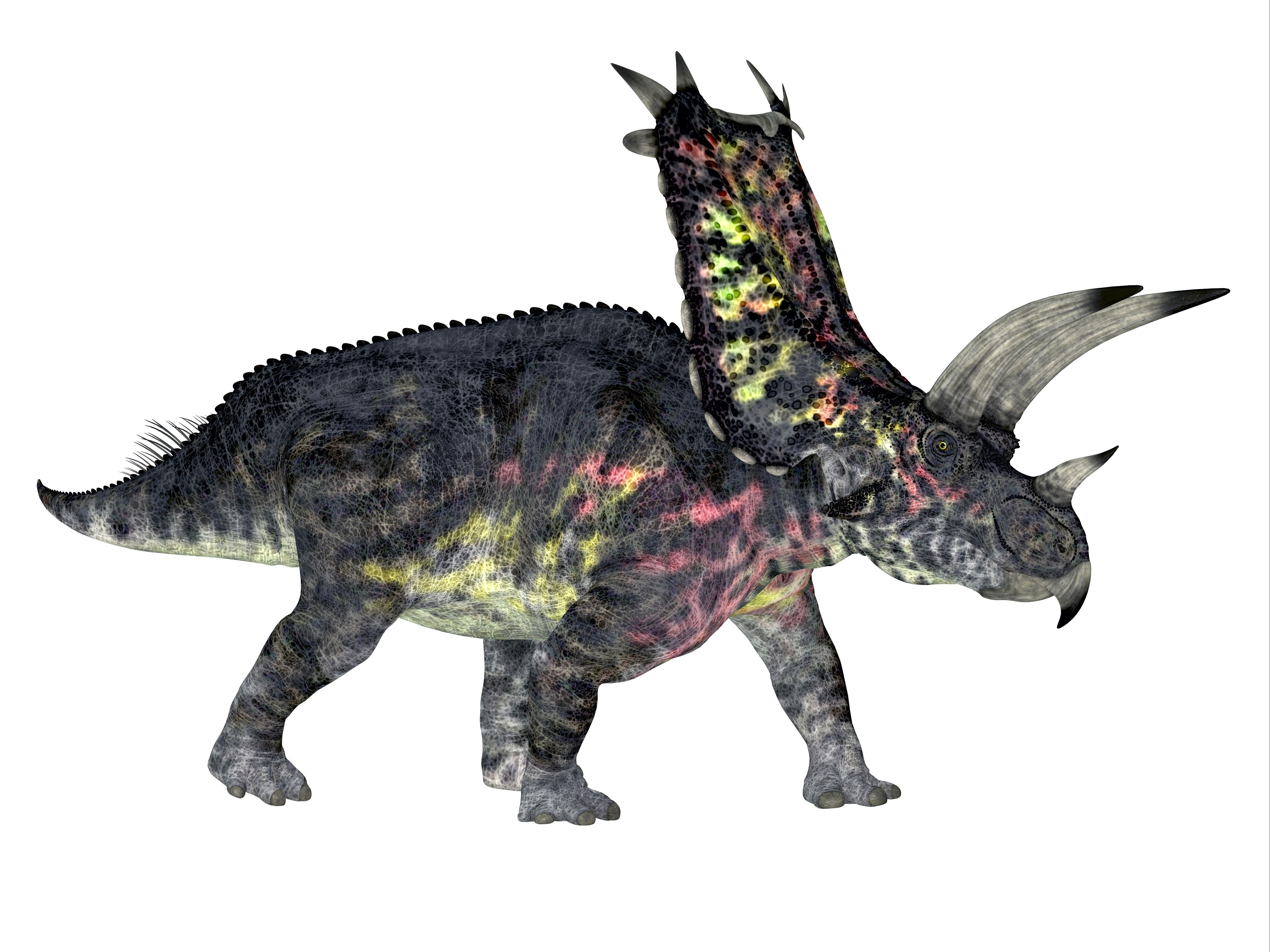 Pentaceratops - urzeittiere.net
