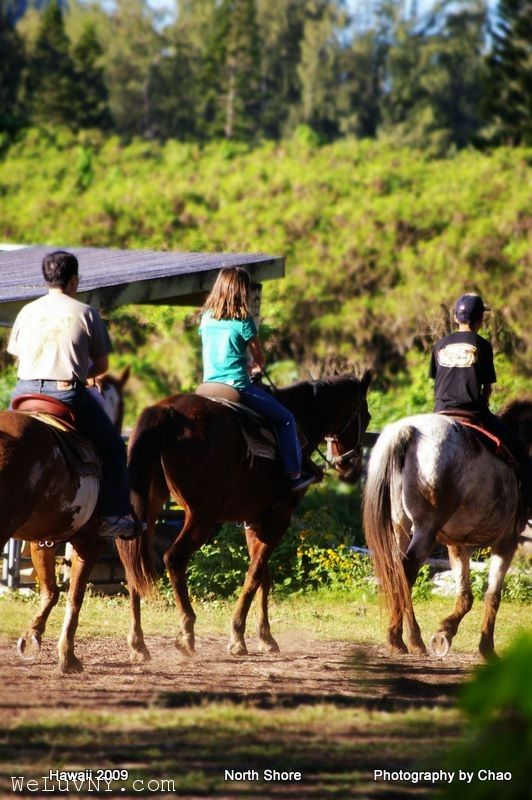 Day 7 Turtle Bay Resort – WeLuvNY.com