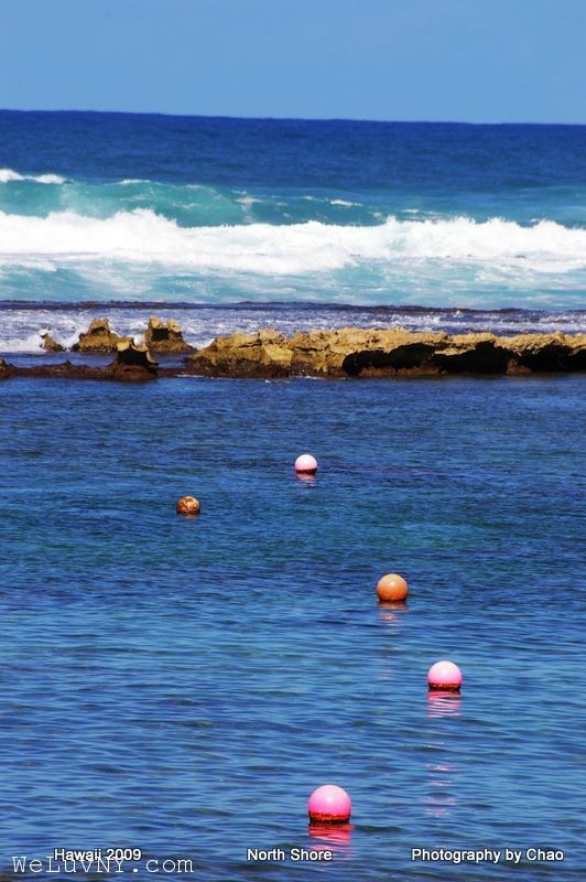 Day 7 Turtle Bay Resort – WeLuvNY.com