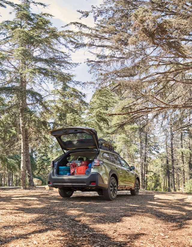 The 2025 Subaru Outback | Delaney Subaru