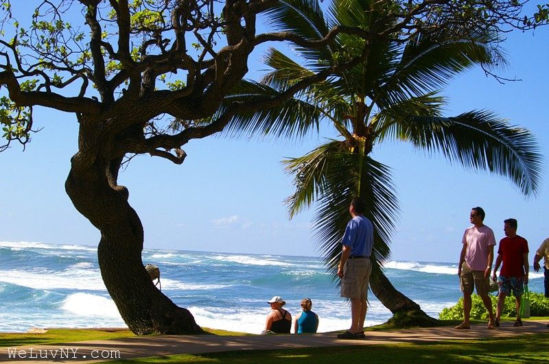 Day 7 Turtle Bay Resort – WeLuvNY.com