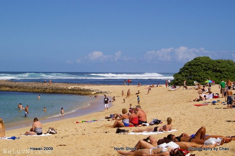 Day 7 Turtle Bay Resort – WeLuvNY.com